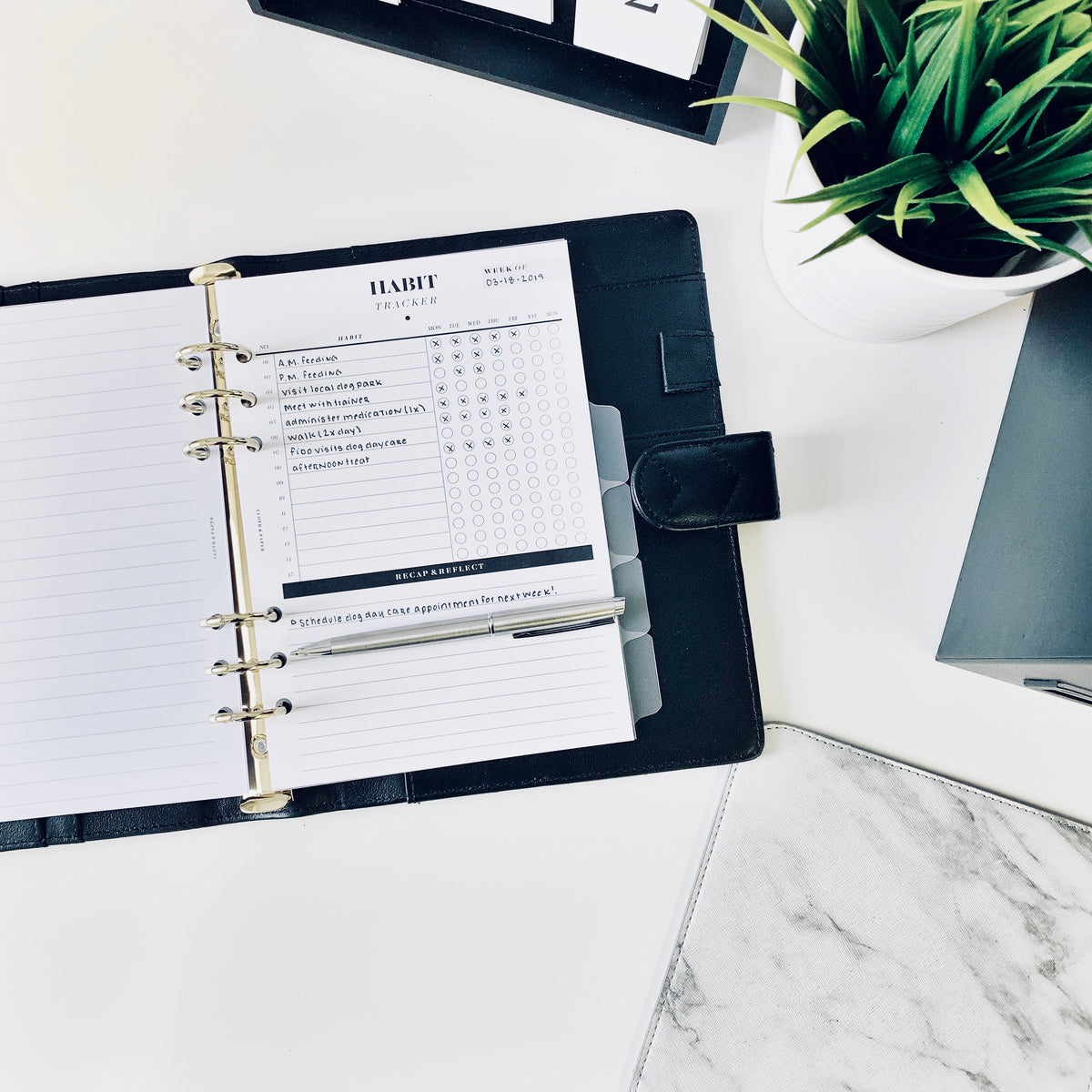 Using Cloth & Paper Inserts for Tracking Pet Care – CLOTH & PAPER