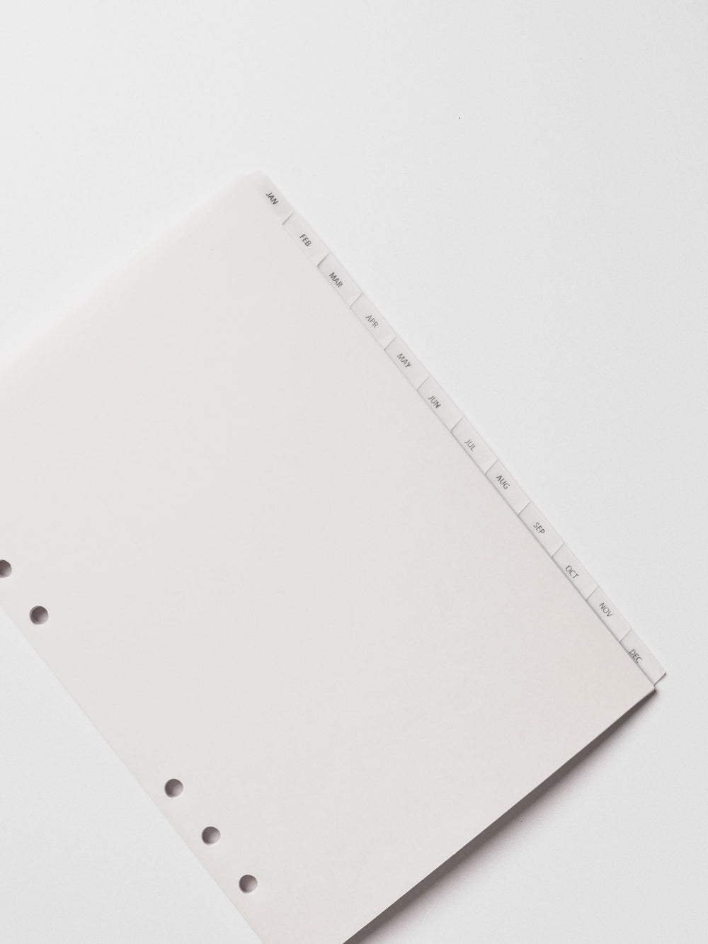 Vellum Monthly Side Tab Planner Dividers | Cloth & Paper